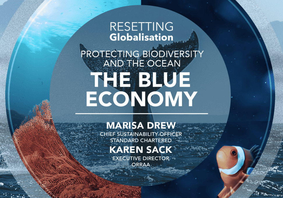 Resetting Globalisation